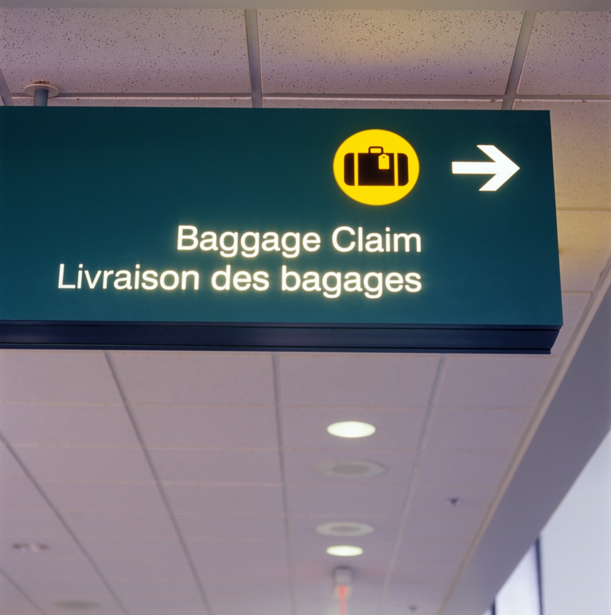 Habasit Eff-Line and timing belts allow energy and cost savings for the ...