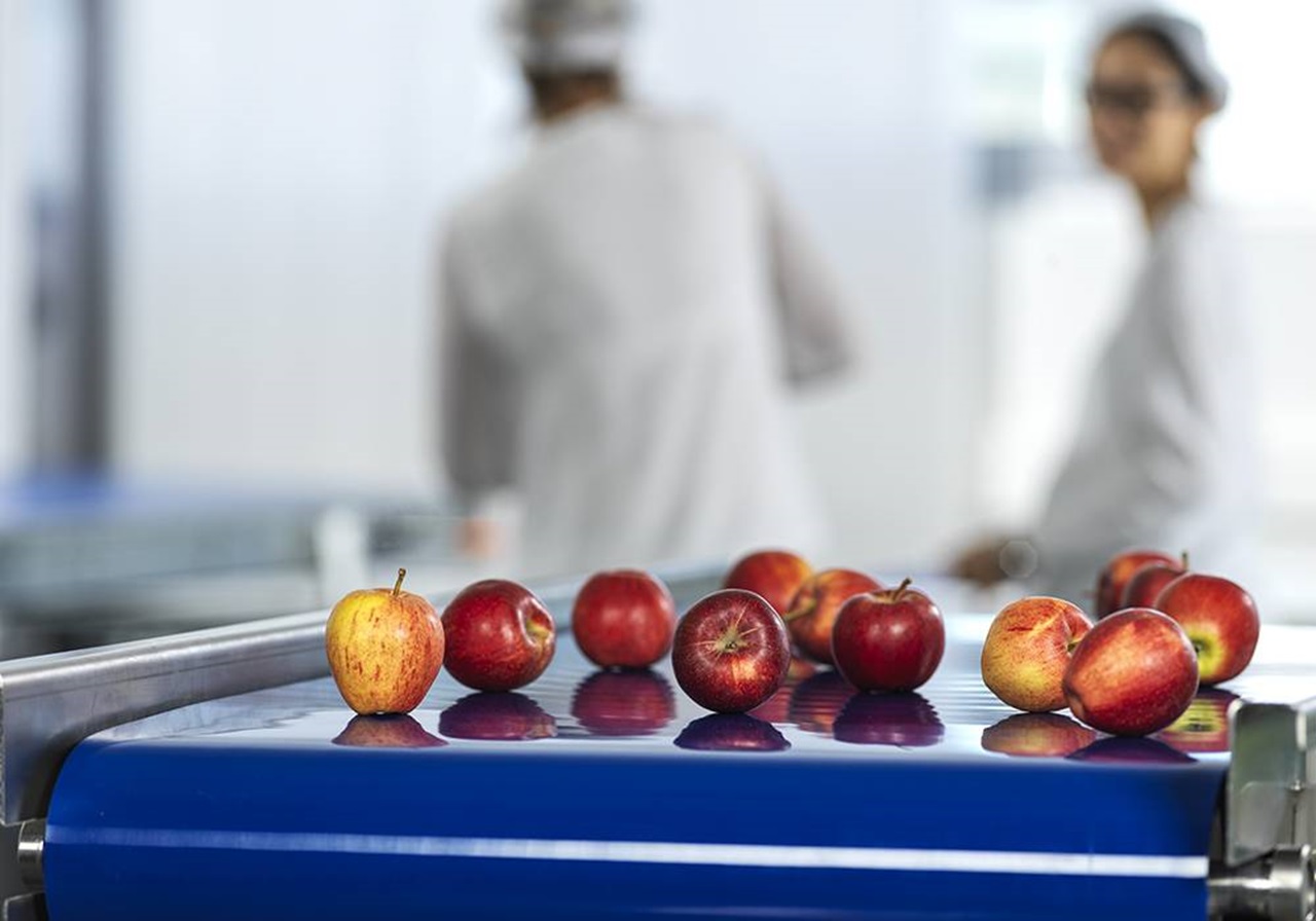 Conveyor and Power Transmission Belt Experts | Habasit