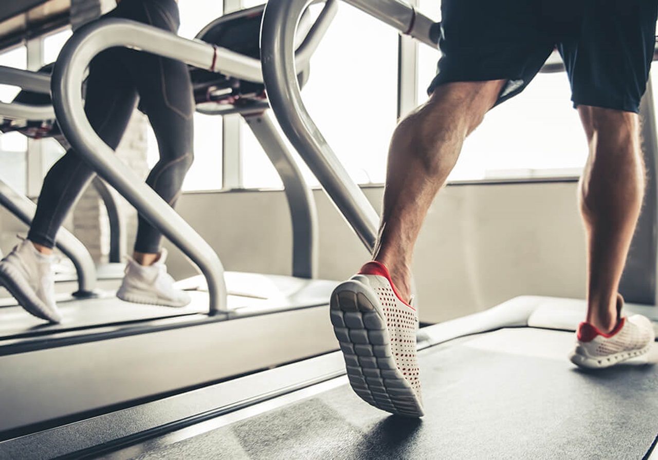 Conveyor and Power Transmission Belt Experts | Habasit