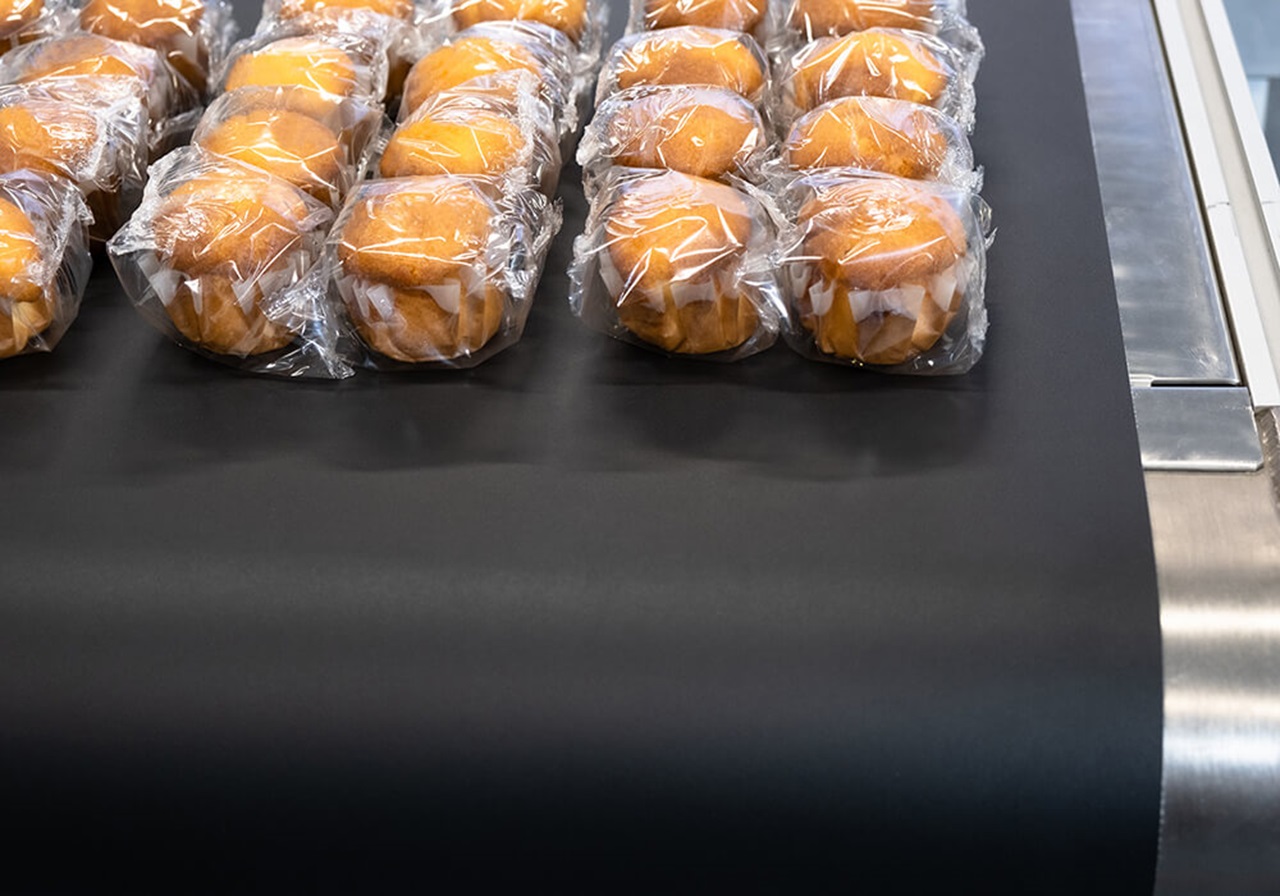 Conveyor and Power Transmission Belt Experts | Habasit