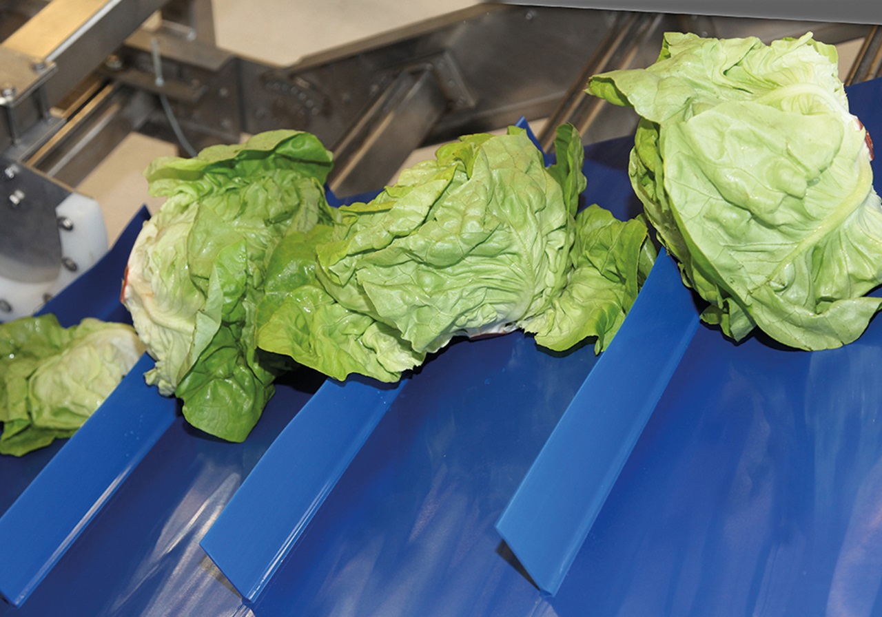 Habasit - Belt Engineering