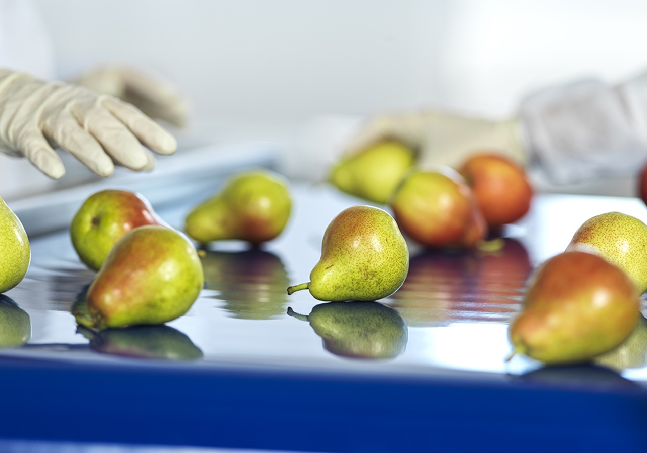 Habasit - Belt Engineering